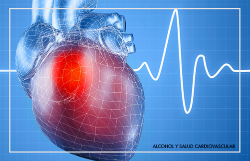 Alcohol y la salud cardiovascular